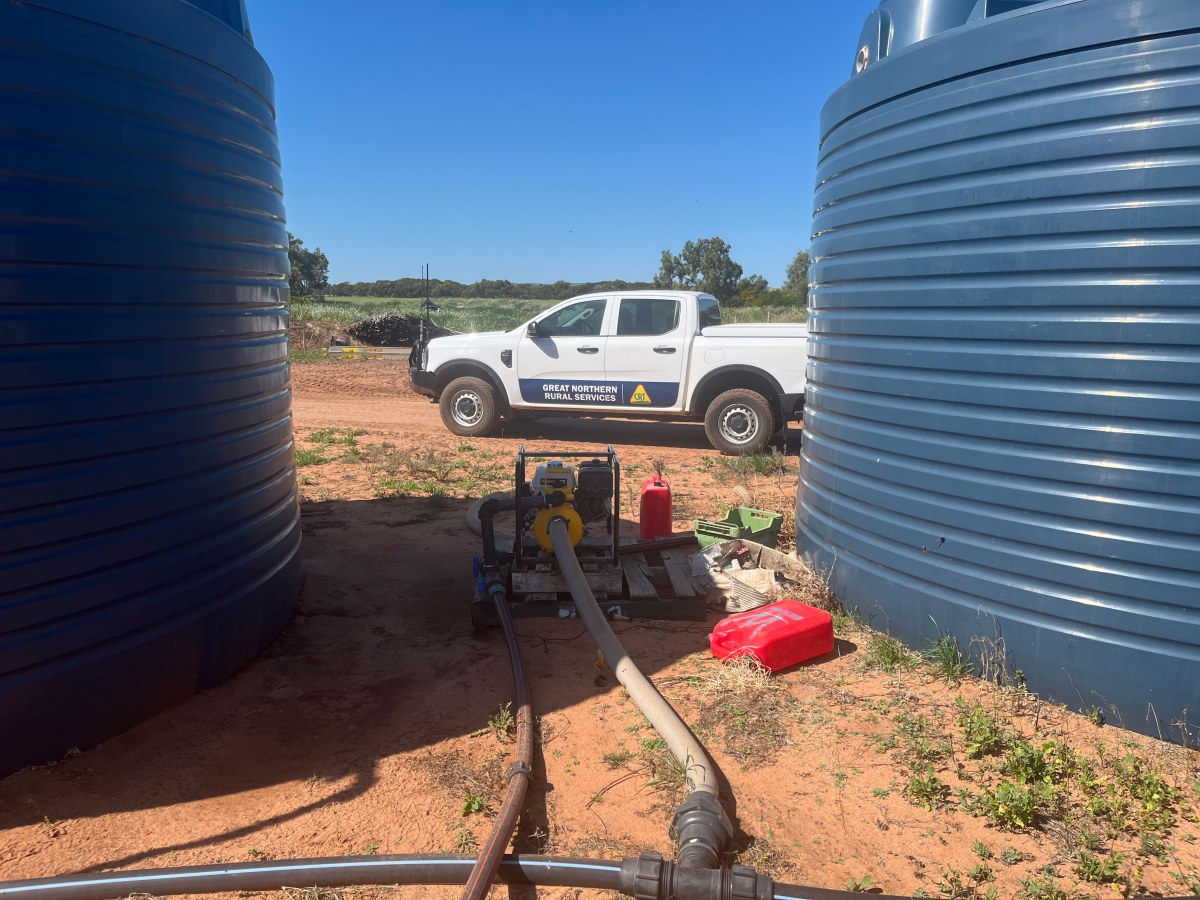 Innovative Irrigation Solution for Commercial Cucumber Farm